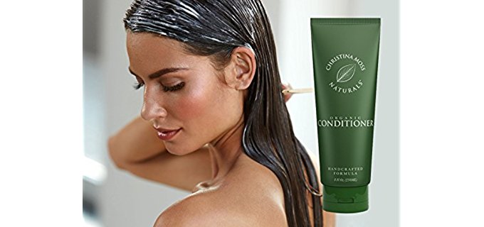 Best Organic Leave In Conditioner 2026 - Organic Aspirations