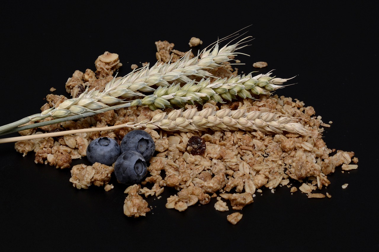 Healthiest Best Organic Granola Brands - Organic Aspirations