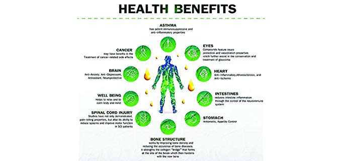 Best Organic Joint Supplement and Support - Organic Aspirations