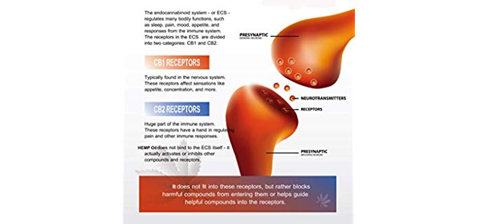Best Organic Joint Supplement and Support 2021 - Organic Aspirations
