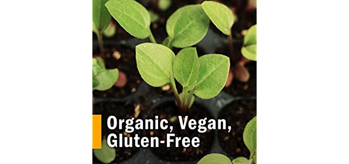 Best Organic Joint Supplement and Support - Organic Aspirations